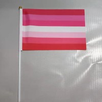 Quality Printed Double Sided Pride Flag Hand Held 100% Polyester Material for sale