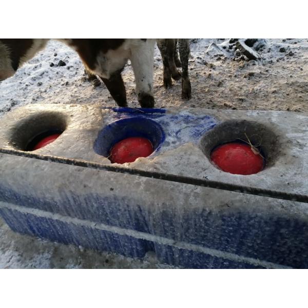 Quality ISO9001 LLDPE L4000mm 220L Livestock Water Tank for sale