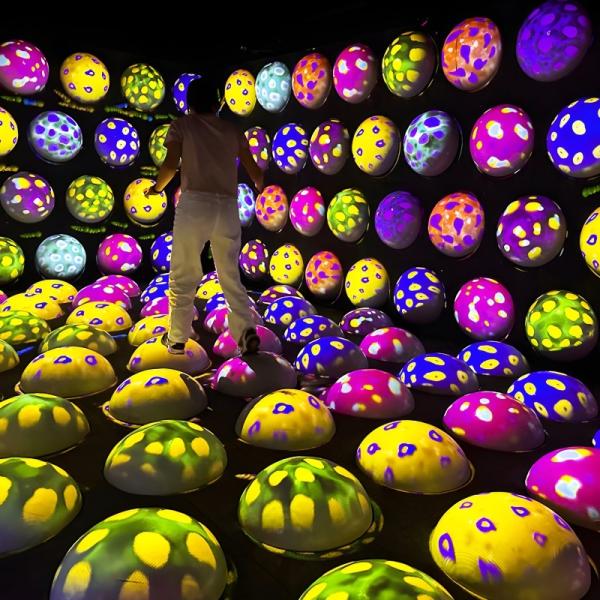 Quality Indoor Creativity Magic Interactive Bouncy Ball Projection Game for sale