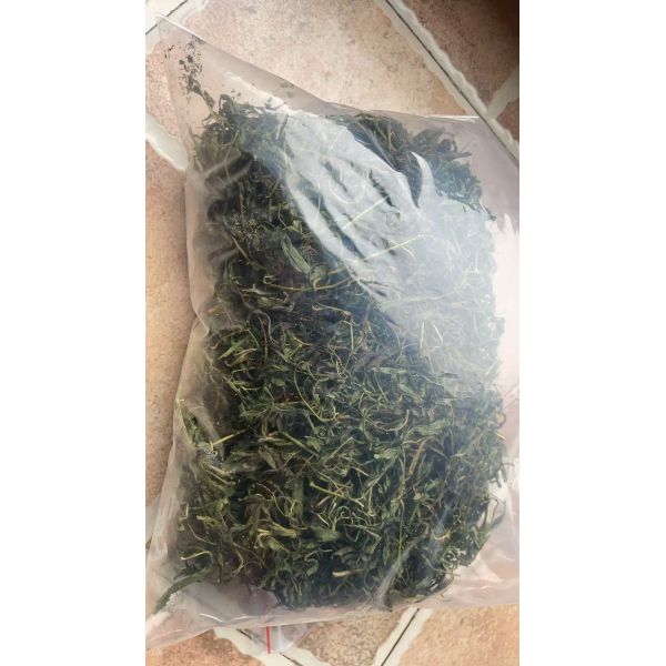 Quality Raspberry Sweet Tea Contains Sweeteners Flavonoid and Catechin Substances. It Has Certain Therapeutic Effects on Diabetes and High Blood Lipids  for sale