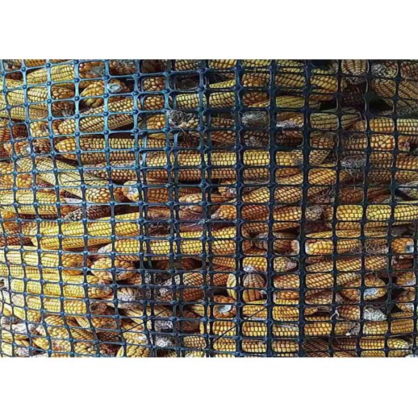 Quality 60kn Polypropylene Geogrid Ce Iso Sgi Astmd Civil Engineering Construction for sale