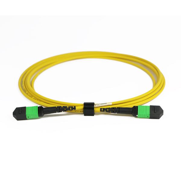 Quality Singlemode 12 Fiber Fiber Optic MPO/MTP ruggedised pigtail for sale