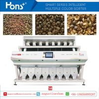 Quality Camellia Seeds Color Sorter Manufacturer With Intelligent Control for sale