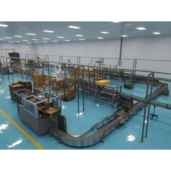 Quality Automatic Robotic Case Packer High Performance 110kg Loading Capacity for sale