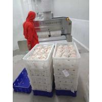 Quality 1200kg/H 1000kg/H Air Blast Ultra Low Chest Freezer Seafood Minus 120C for sale