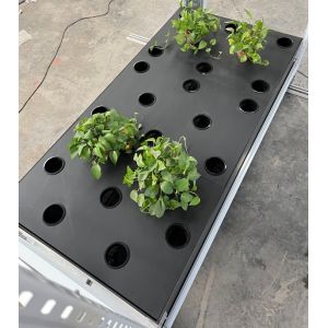 Quality 5ft*15ft Cannabis Aeroponics Growing System 40pcs Holes For Vertical Rack for sale