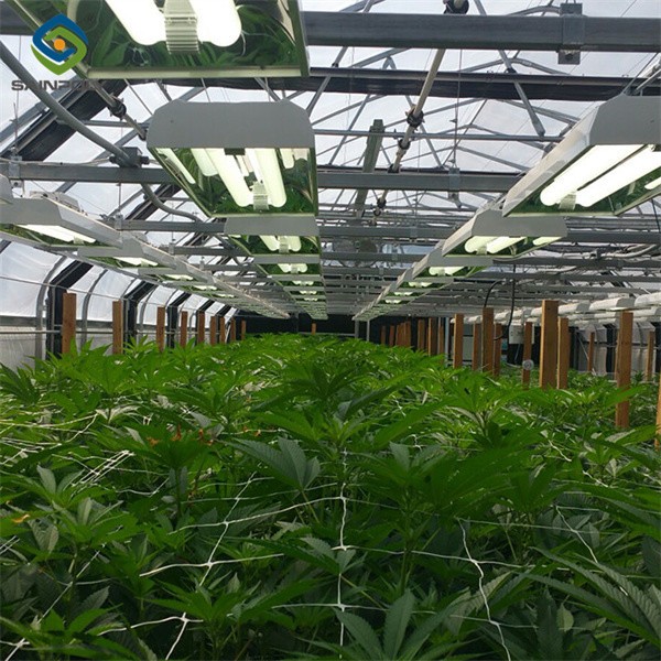 Quality Electric Type Full Dark Blackout Greenhouse For Agricultural Commercial for sale