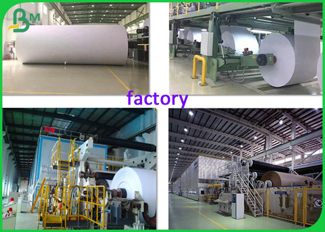 300gsm FDA Certified One side PE Coated FBB Paper With High glossy 