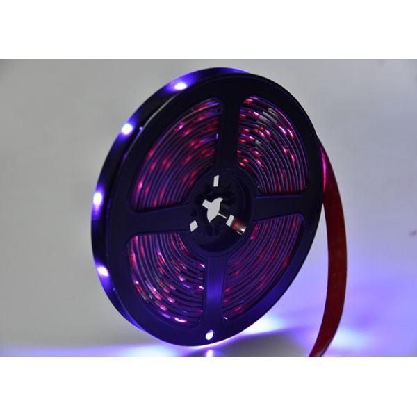 Quality DC12V 5m 7000K WIFI LED Strip Light for Bedroom for sale