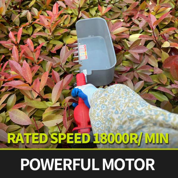 Quality Lithium Battery Rechargeable Small Tea Harvester Tea Picking Machine for sale