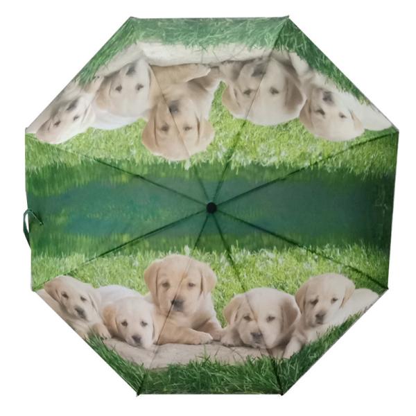 Quality DIY Custom Design Dragonfly Animal Pattern Three-folding Umbrella with Black for sale