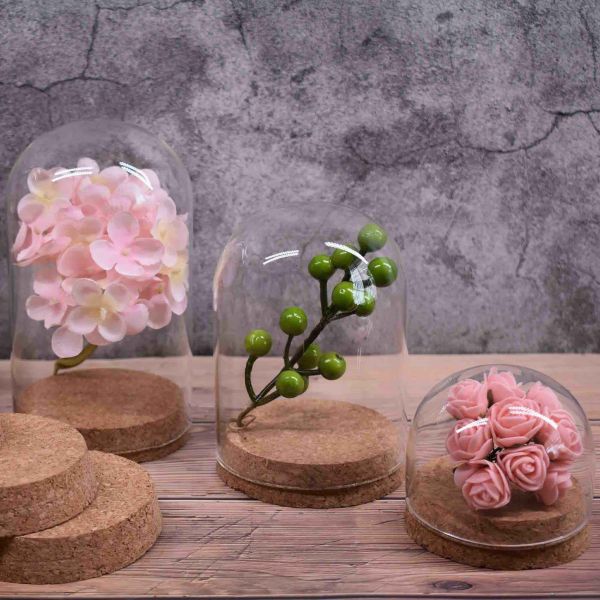 Quality ISO9001 Small Borosilicate Glass Dome Cork Base Eco Friendly for sale