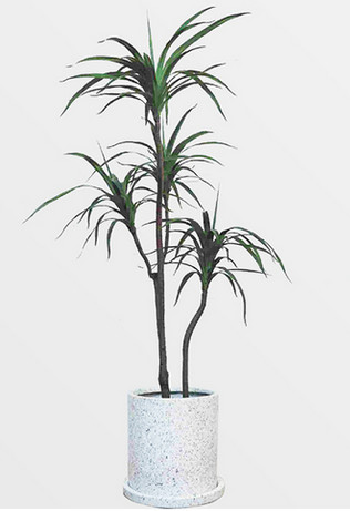 Quality Plastic Artificial Potted Floor Plants Indoor Evergreen Dragon Blood Trees for sale