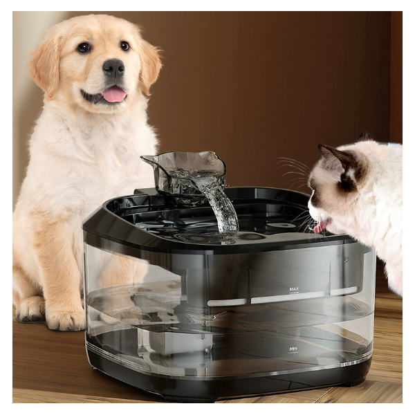 Quality Auto Pet Smart Devices Stainless Steel 2 Gallon Dog Water Fountain Dispenser for sale
