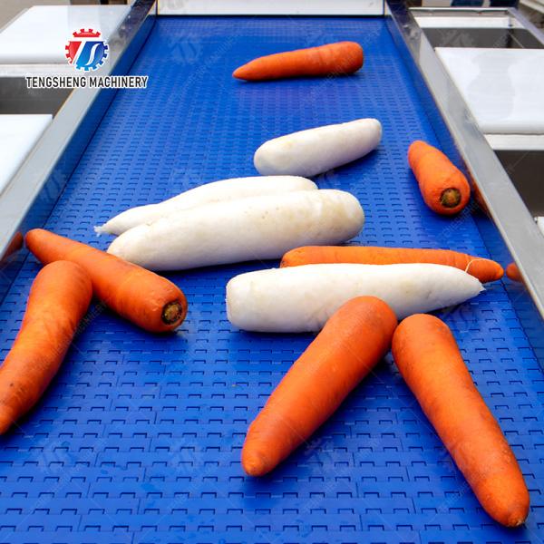 Quality Enhance Your Production with Our State-of-the-Art Fruit And Vegetable Processing for sale