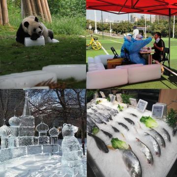 Quality Salt Water 20T/24H Industrial Ice Block Making Machine For Ice Factory Cold for sale