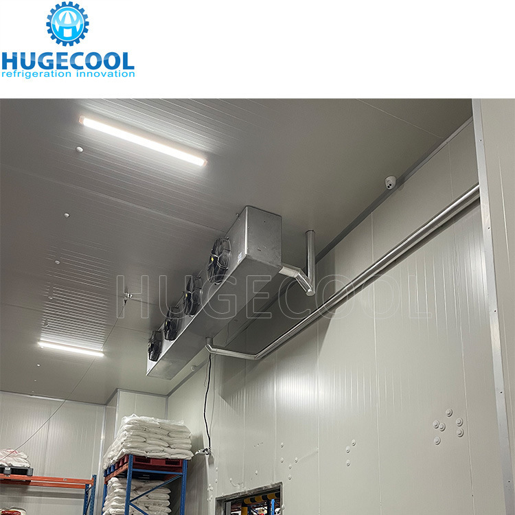 -60c Frozen Tuna Blast Freezer Deep Cold Room for Sale