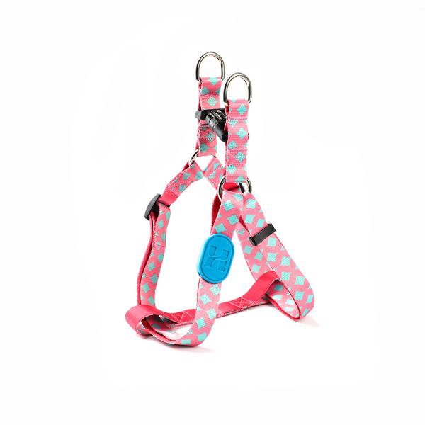 Quality S M Polyester Webbing Bobby Dog Harness Non Pull Dog Lead for sale