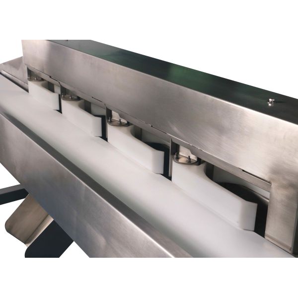 Quality High Speed Accuracy 200 pcs/min Weight Grader Machine For Abalone Fish for sale