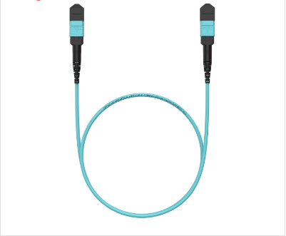 Quality High‑Performance MPO/MTP Patch Cord – 8/12/24 Fibers, Low Loss, IEC & TIA Compliant for sale