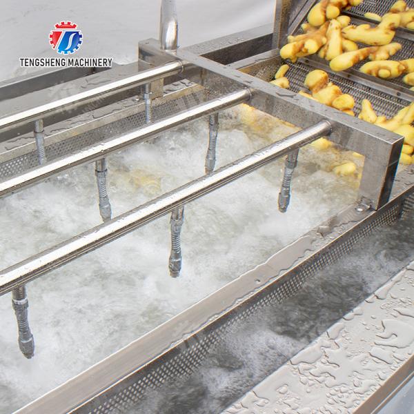 Quality Brush bubble cleaning, drying, selection and cutting production line Revolutioni for sale