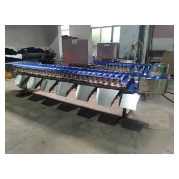 Quality Pear Avocado Full Automatic Grading Machine for sale