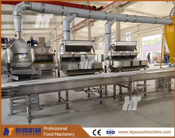 Quality 600kg/h Peanut Blanching Machine Hazelnut Roasted Peanut Peeling Machine for sale