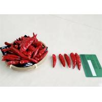 Quality Zero Addition Small Red Dried Chillies Premium 10KG Tianjin Peppers for sale