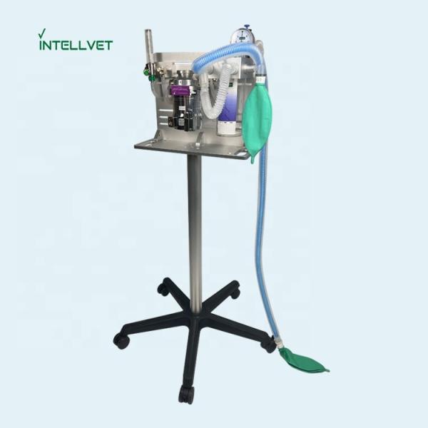 Quality Small Animal Medical Treatment Anesthesia Machine Medivet Veterinarian Clinic for sale