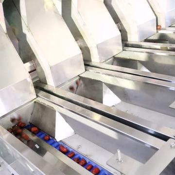 Quality High Speed Dates Sorting Machine Optical 6.3KW 380V 6 Lanes for sale