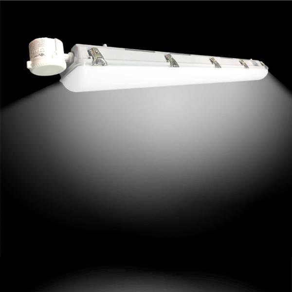 Quality Customized NSF NEMA4X Dust-proof Tri-proof LED Lamp 135lm/w LED Vapor Tight for sale