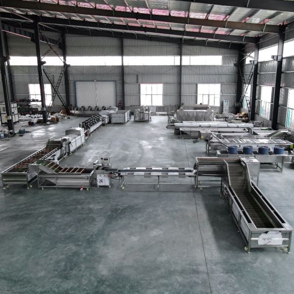 Quality Fully Automatic Vegetable Fruit Washing and Blanching Equipment with Customized for sale