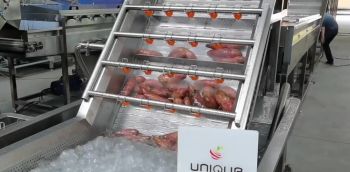 China Factory - Zibo Unique Machinery Technology Co., Ltd.