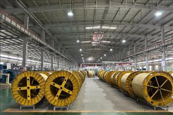 China Factory - Jiayao Co., Ltd.
