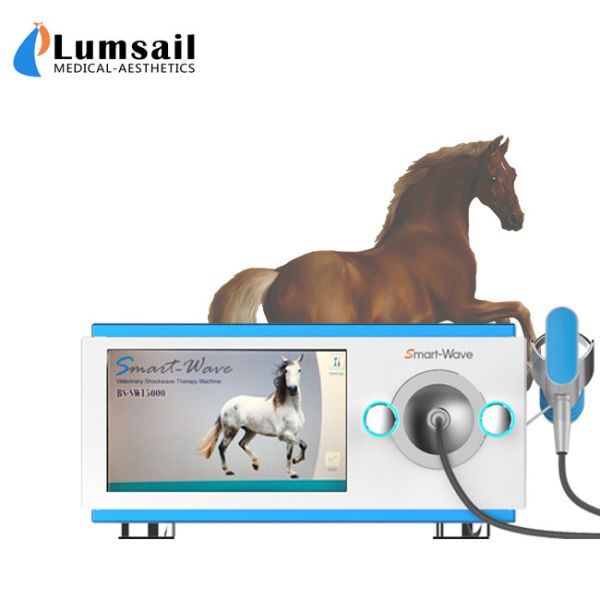 Quality Arthritis ESWT Pain Relief Equine Shockwave Machine for sale