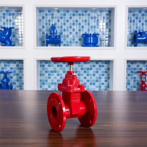 Quality Ductile Iron Gate Valve for sale