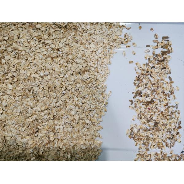 Quality High Output Oat Sorter Color Machine With Optical Ccd Color Sorter for sale