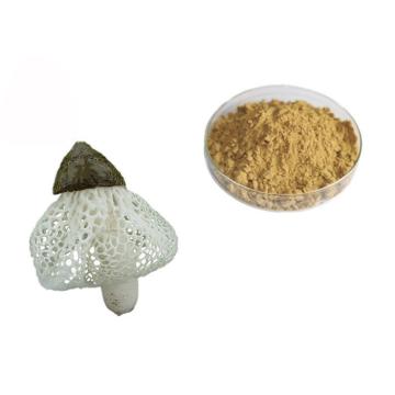 Quality Organic Dictyophora Indusiata Extract for sale