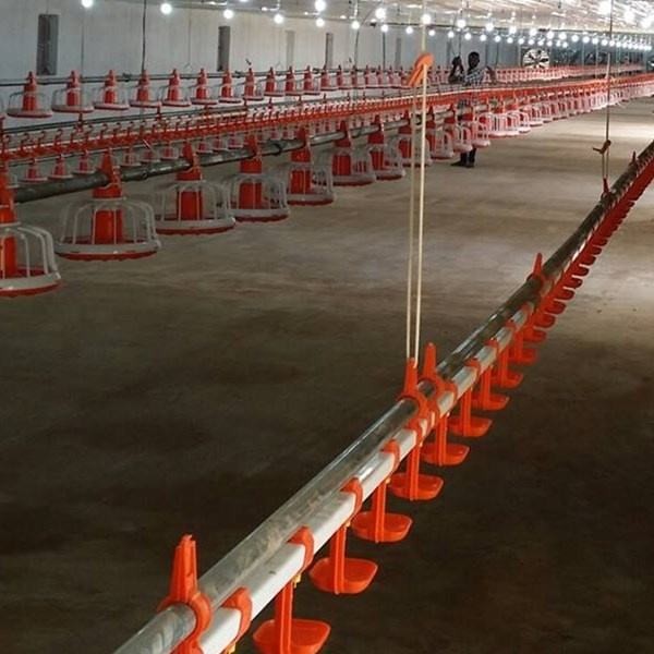 Quality Automatic Nipple Drinker Poultry Drinking Line 0.2MPa-0.6MPa for sale