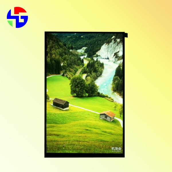 Quality 10.1 Inch MIPI Interface 40PIN Customized TFT Display Full View 800x1280 for sale