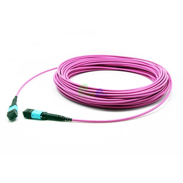 Quality OM4 50/125μm Multi - Mode MTP Trunk Cable , 3.0mm Jacket OD MTP 12 Fiber Connector for sale