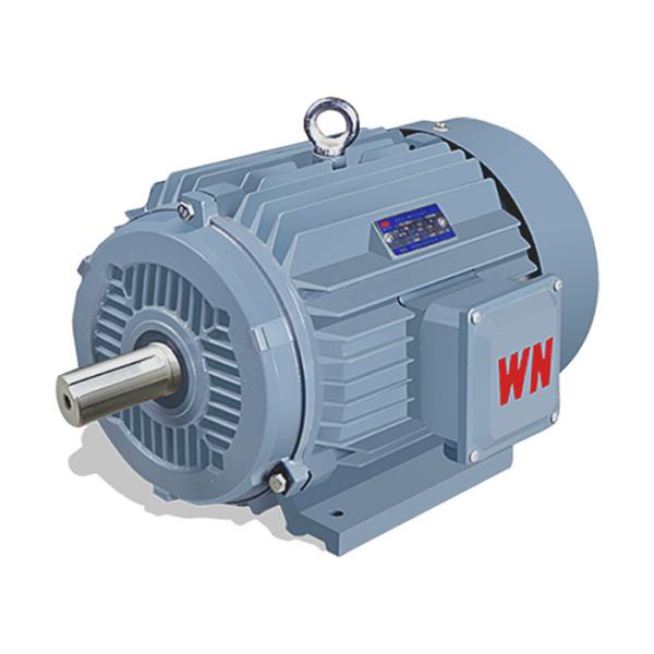 Quality Alternating Current 450V Three Phase Electric Motor for sale