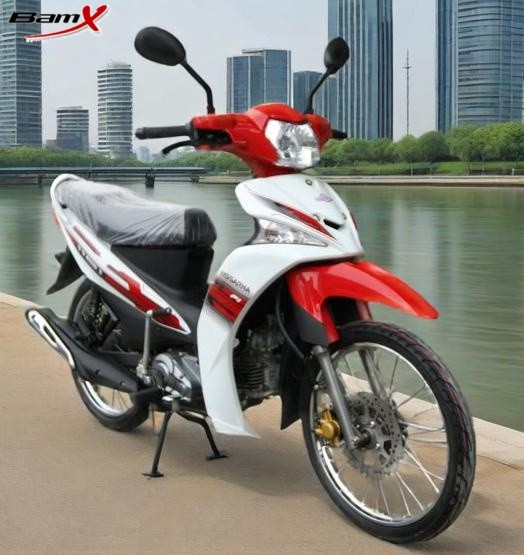 Quality 4.3l 110cc Street Underbone Motorcycle Alloy Pit Bike Moped Double Clutch Colored Plastic Cover for sale