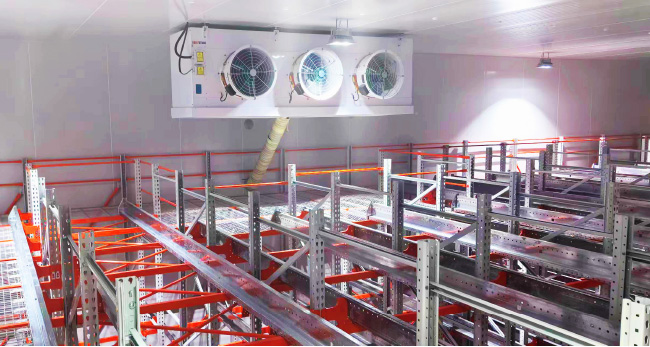 Four-Way Shuttle Pallet ASRS Cold Storage Warehouse Automatic Storage and Retrieval System Pallet Runner Racking