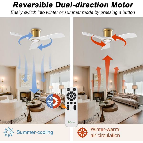Quality 3000K Black 52 Inch Ceiling Fan With Light Efficient Reversible DC Motor for sale