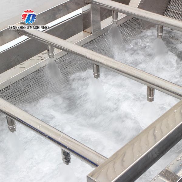 Quality Enhance Your Production with Our State-of-the-Art Fruit And Vegetable Processing for sale