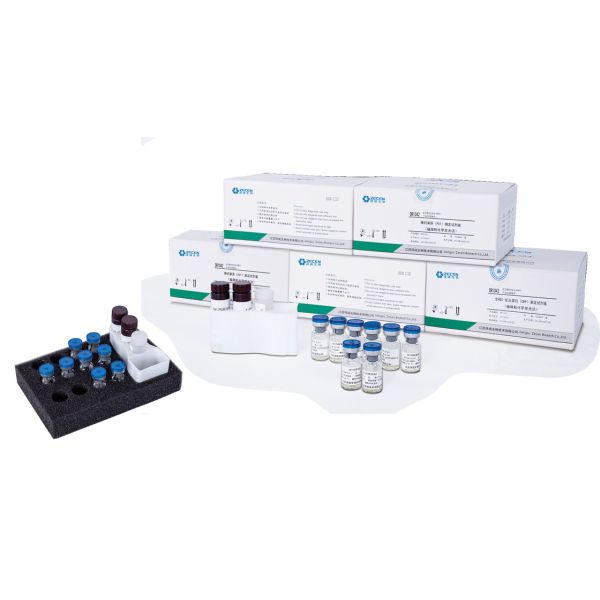 Alpha Fetoprotein(AFP) Reagents for Automatic Immunoassay Analyzer in ...
