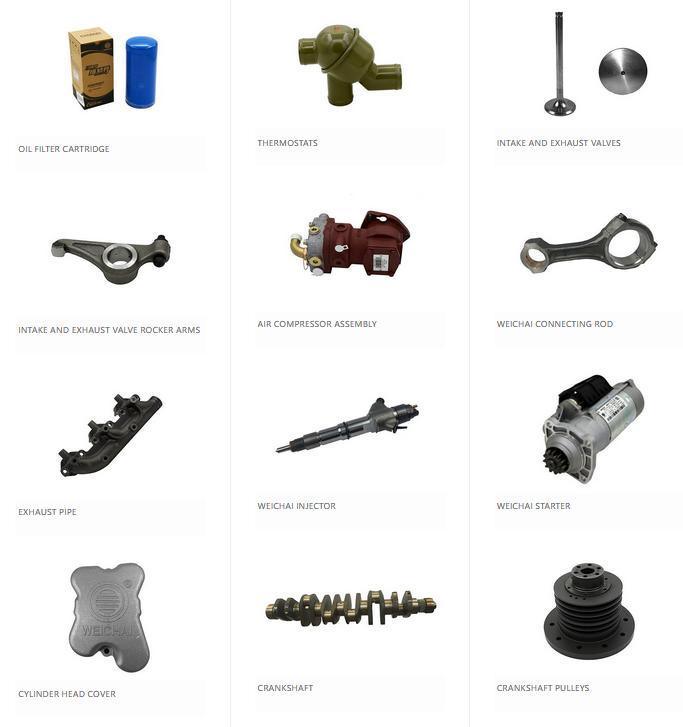 Weichai Diesel Engine Parts Wd615/618/10/12/13 Wp2/Wp3/Wp4/Wp6 226 Series