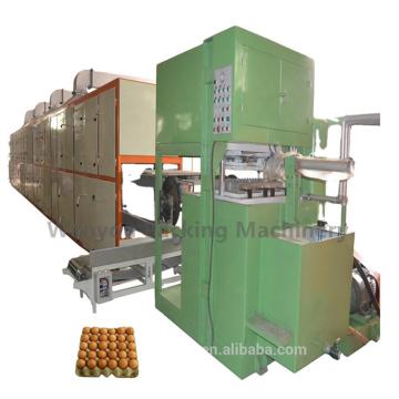 Quality Manufacturer Disposable Paper Molded Dry Fruit Tray Egg Tray Equipment for sale