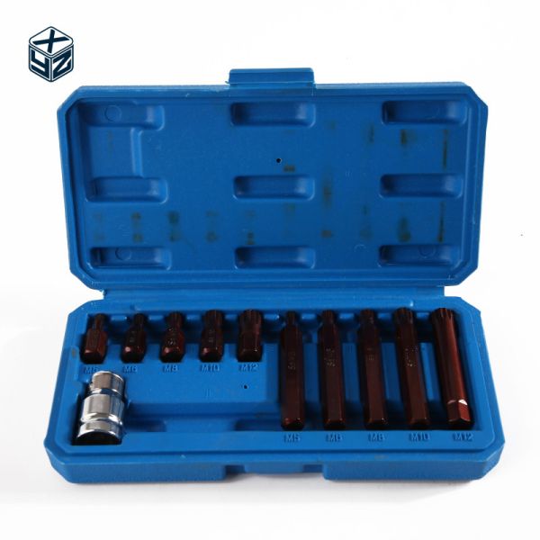 Quality 11pcs S2 M Type Alloy Steel Hand Tool Bit Set Industrial Grade for Customized Support for sale
